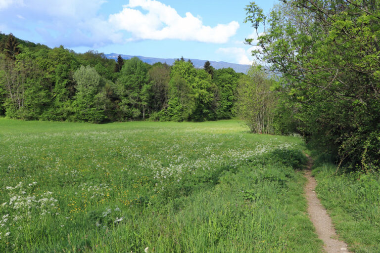 Hike naar de verborgen Cascade d'Angon - Hiken is tof!