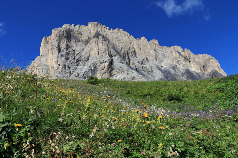 Hike rond de imposante Sassolungo/Langkofel - Hiken is tof!